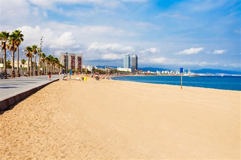 Cosa Mangiare A Barcellona 10 Piatti Tipici E Dove Provarli Volagratis