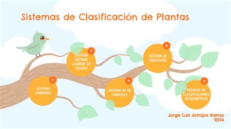 Clasificacion De Plantas