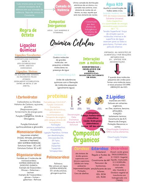 Mapa Mental Bioquímica Celular ENSINO