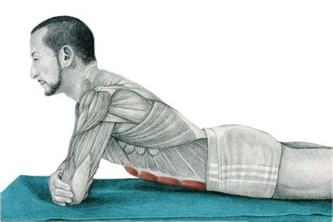 Estiramientos guia básica ilustrada de estiramientos Artofit