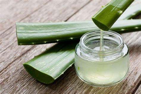 Aloe Vera Ferox Descubre los increíbles beneficios Aloe Vera Saludable