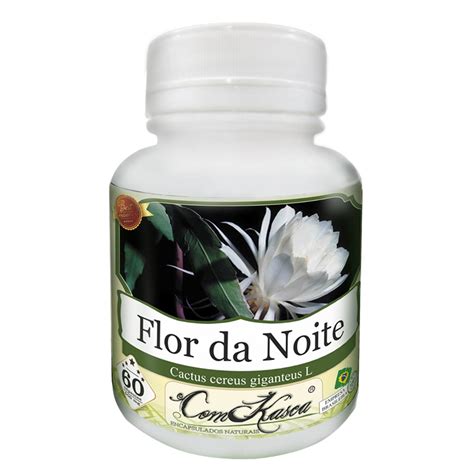 Découvrir 100 kuva cactus flor da noite Thptnganamst edu vn