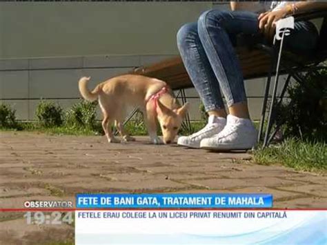 Fete de bani gata implicate într o bătaie la comandă YouTube