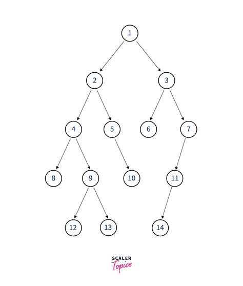 Boundary Traversal Of Binary Tree Scaler Topics