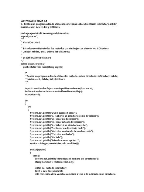 ejercicios realizados en java pdf archivo de computadora java lenguaje de programación