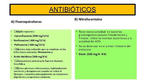 INFECCIONES BACTERIANAS DE LAS VIAS GENITOURINARIAS CONCEPTO INFECCIN