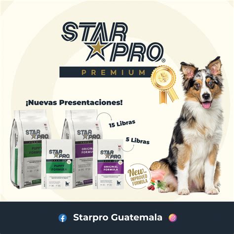 Mayo 8 2023 Revista Petmi Para Amantes De Mascotas