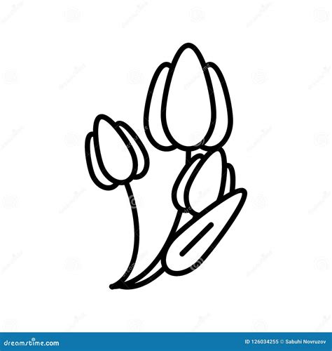 Tulip Line Icon Flowers Vector Illustration Isolated On White Three