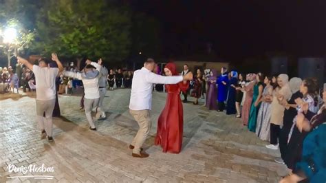 Antep Süper Halay İle Köy Düğünü YouTube