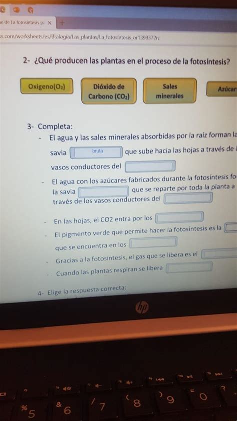 Ayuda Porfi Doy Corona Brainly Lat