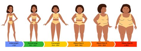 Categories With Body Mass Index Female Royalty Free Vector