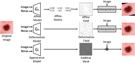 illustration of the three augmentation models which perform affine download scientific diagram