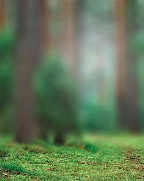 Details 200 Full Blur Background Hd Abzlocal Mx