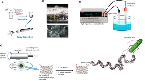 Sensors Free Full Text Detection And Characterization Of Cancer