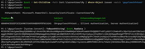 Guy Leech On Twitter Need To Get A Certificate From The Cert Store