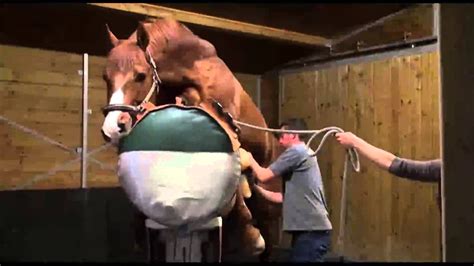 Centre Ins Mination Le Montellier Beligneux Le Haras Youtube