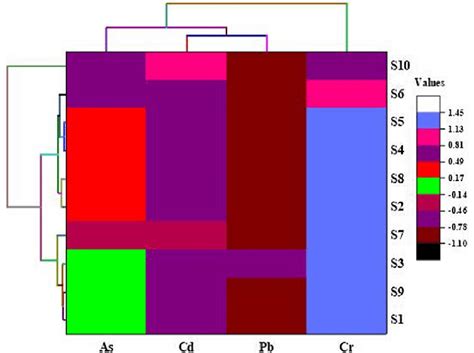 Two Way Hierarchical Cluster Heat Map Of The Metal Concentration Along