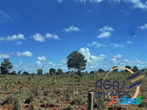 Fazenda em cocalinho mt 440 alq dupla aptidão em Brasil Clasf imoveis