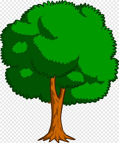 Dibujos Animados De Rboles De Dibujo Rbol De Dibujos Animados