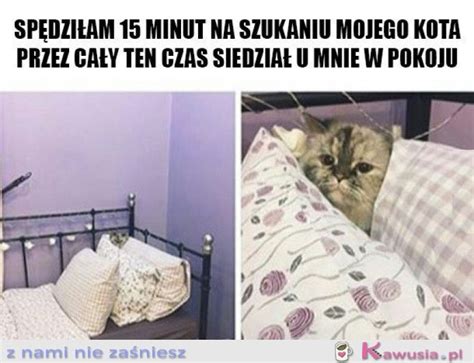 KOTEK MI SIĘ SCHOWAŁ Kawusia pl z nami nie zaśniesz