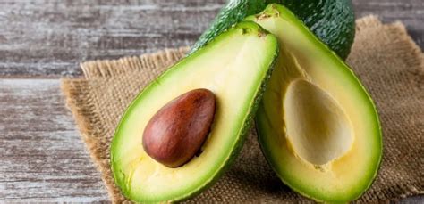 Plante abacate a partir do caroço de forma simples e FÁCIL