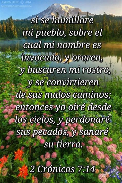 Un Corazn Humillado Hace A Tu Oracin Perfecta Ante Dios