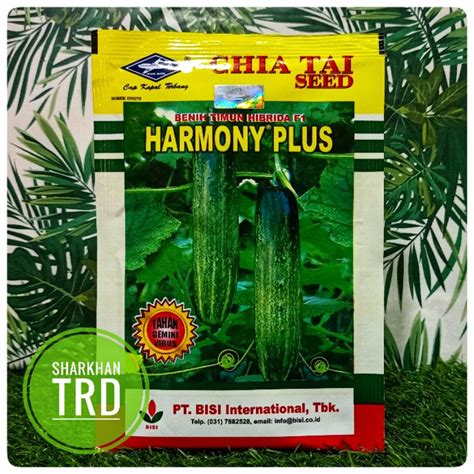 Paket 20 Gram Biji Benih Timun Batang HARMONY PLUS Cap Kapal Terbang