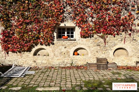 Halloween Participez La F Te De La Citrouille Dans Les Fermes