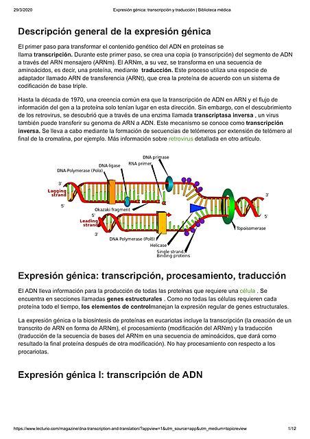 Descripción general de la expresión génica Marcela Sofia uDocz
