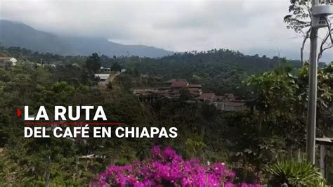 Aroma y sabor Así es la RUTA DEL CAFÉ en Chiapas YouTube