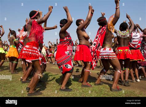 Zulu Reed Dance At Enyokeni Palace Nongoma South Africa Stock Photo
