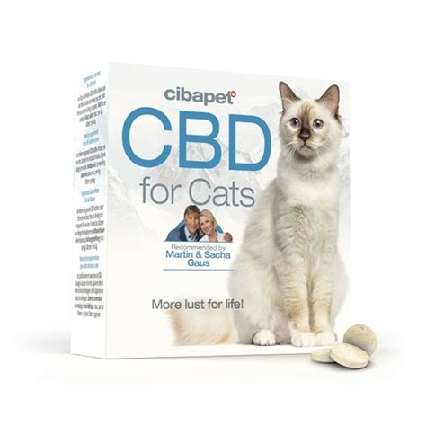 Pastilles CBD Pour Chats Par Cibapet Place Du CBD
