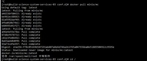 centos7 安装minio和使用minio上传文件和预览 豆汤 博客园