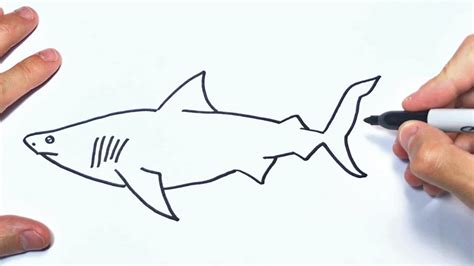 C Mo Dibujar Un Tiburon Paso A Paso Dibujo De Tiburon