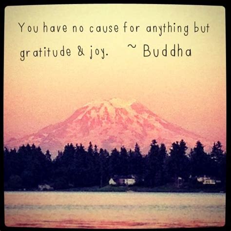 Buddhist Quotes On Gratitude Quotesgram