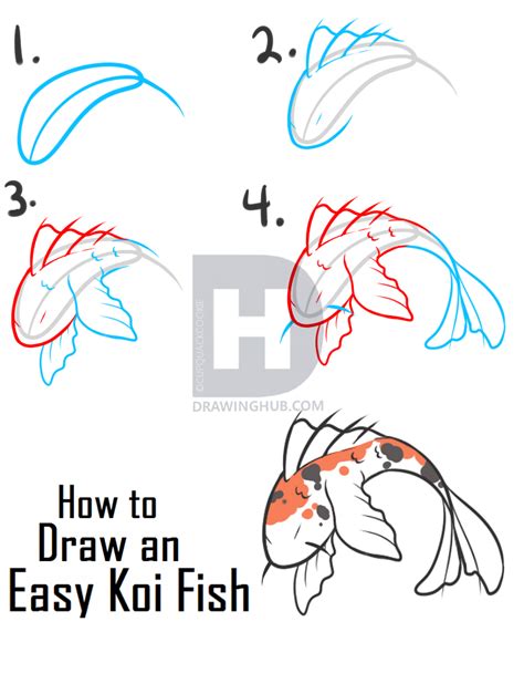 Koi Fish Drawing Step By Step
