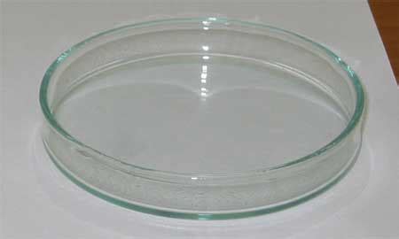 Petri Dish Wikipedia