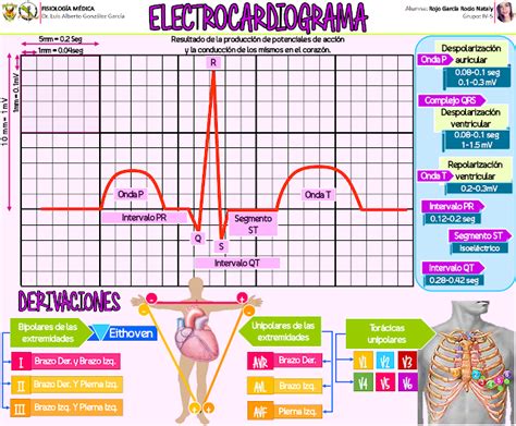 Fisiología ROGAR ELECTROCARDIOGRAMA