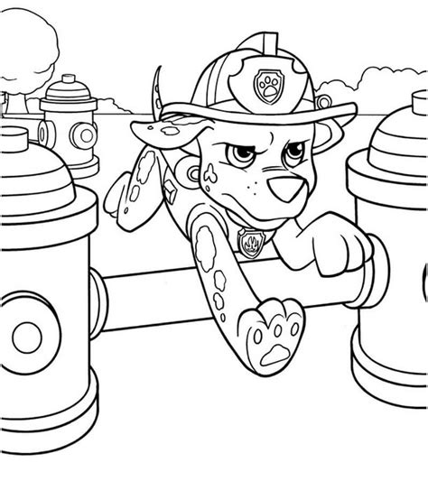 Paw Patrol Marshall Coloring Page Coloring Page Central Images And