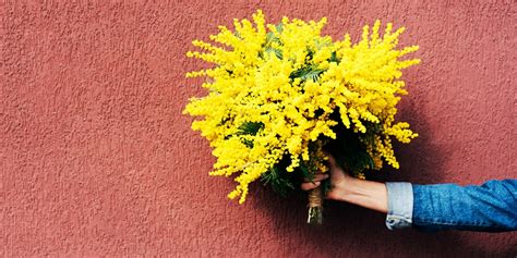 Festa della donna perché si festeggia l 8 marzo Donnaclick