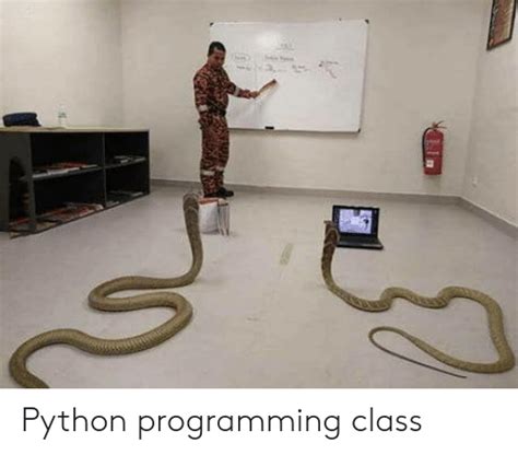 Must Have Python Plugins For Intellij Idea Tabnine