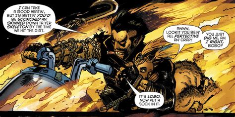 Total Images Lobo Harley Quinn Viaterra Mx