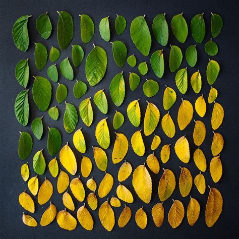 Painstaking Arrangements Of Colorful Objects And Food By Emily Blincoe