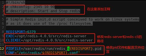 redis的安装、配置、启动、登录 redis centos7 找不到bin csdn博客