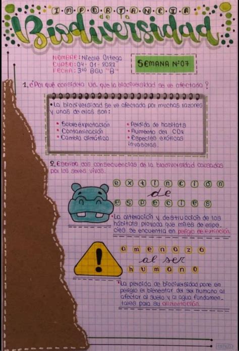 Importancia De La Biodiversidad Como Tomar Apuntes Apuntes De Clase
