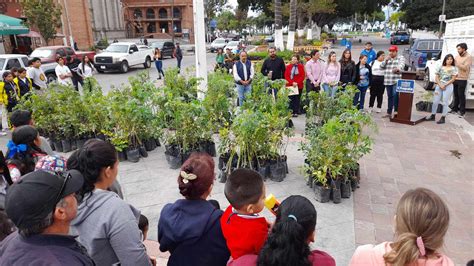 Arranca el programa Creciendo Juntos con la donación de mil 500 árboles