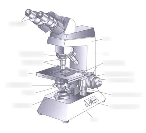 Microscope Diagram Quizlet