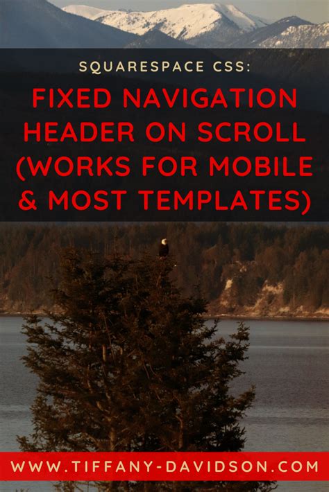 Squarespace Css Fixed Navigation Header On Scroll Works For Mobile