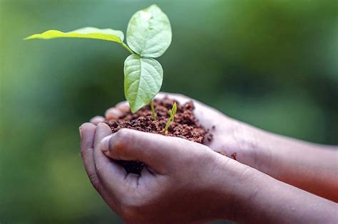 D A Mundial De La Tierra Pretende Concienciar Sobre La Necesidad De