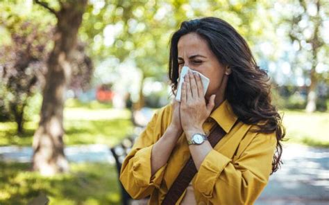 Alergia na pyłki objawy leczenie Sprawdź co pomaga na uczulenie na